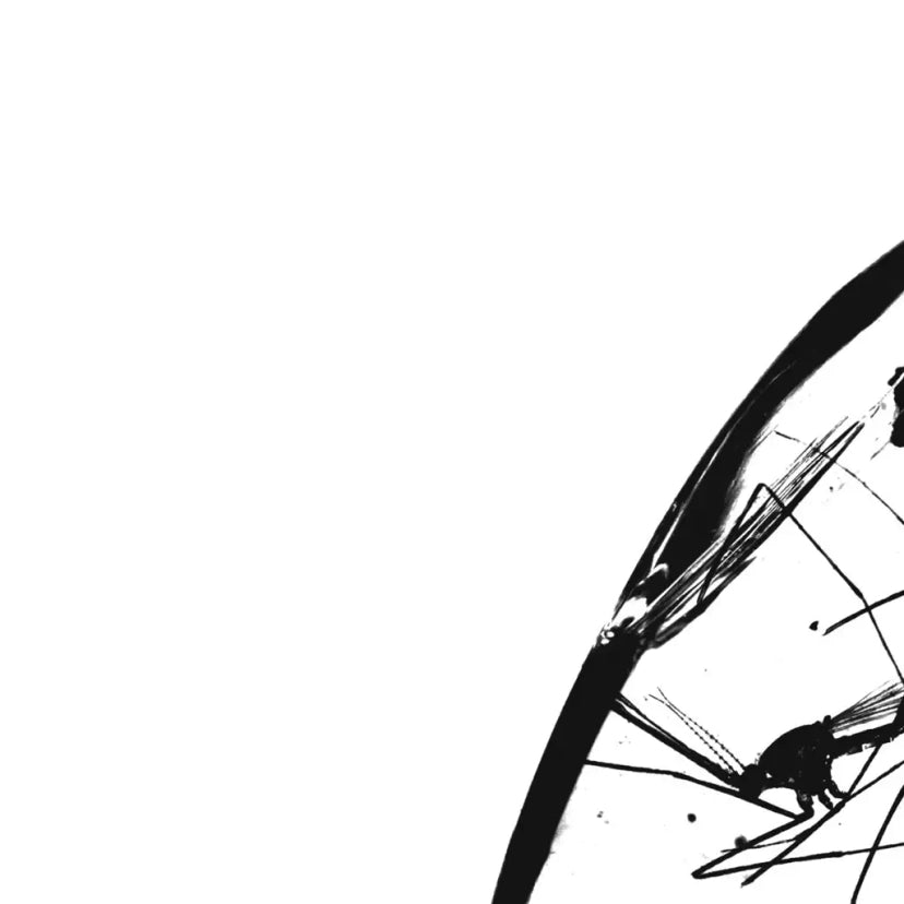 The Boxer Rebellion - Exits – Eclipse Records